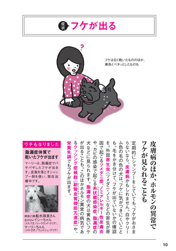 愛犬の家庭の医学辞典