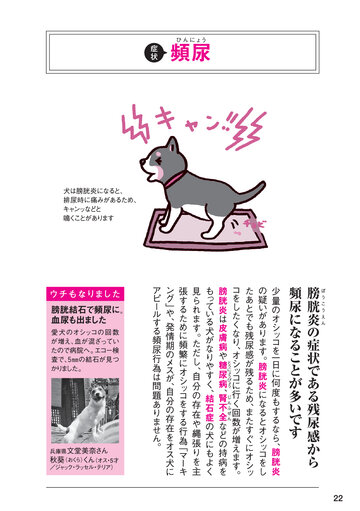 愛犬の家庭の医学辞典